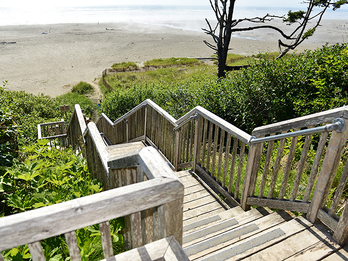 Stairway to heaven, Pacific Northwest edition. These weathered wooden steps promise adventure below, where tide pools and endless shoreline await exploration.