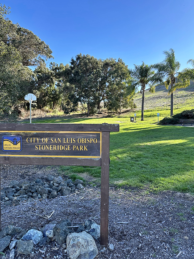 Stoneridge Park provides green space where you can enjoy nature without having to remember which pills to take before hiking.