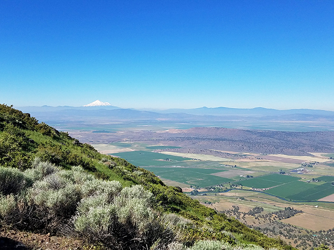 Mount Shasta photobombs the valley view, showing California how Oregon does dramatic landscapes without even trying.