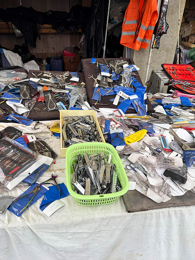 Tools of precision spread across tables like a surgeon's abandoned collection—each implement telling stories of craftsmanship and utility.