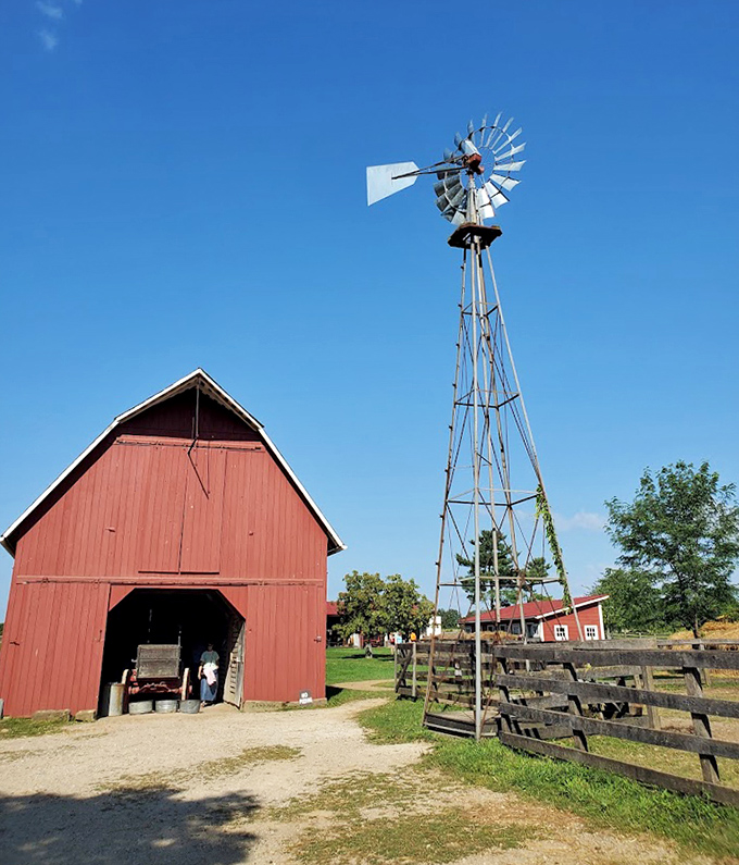 The farm's windmill reaches skyward like a metal tree, harvesting wind the way our ancestors did before anyone thought to call it "renewable energy."