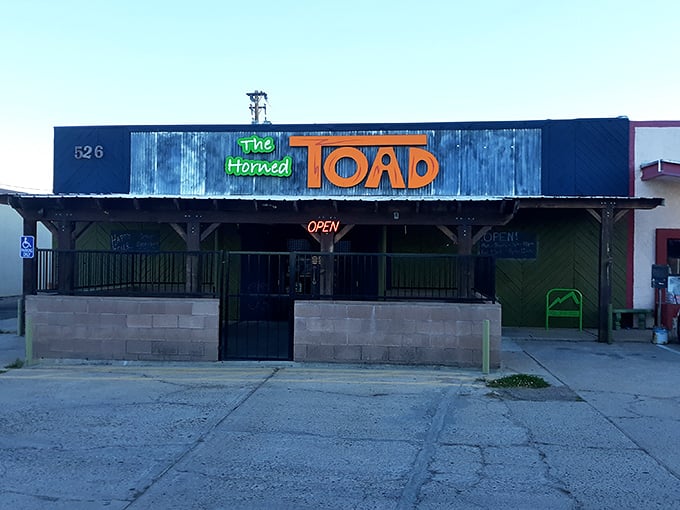 The Horned Toad offers that quintessential local watering hole experience&mdash;where the stories flow as freely as the drinks and newcomers become regulars.