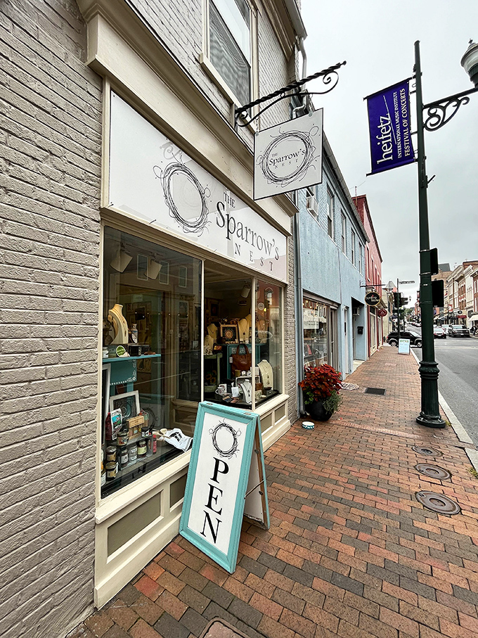 The Sparrow's Nest isn't just a shop&mdash;it's a curator of the charming and unexpected. Where "just browsing" inevitably becomes "I'll take it."