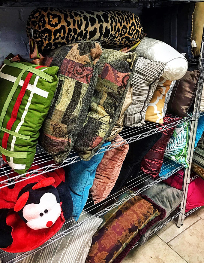 Pillow paradise! That leopard print cushion could be the wild accent your sensible sofa has been secretly craving.