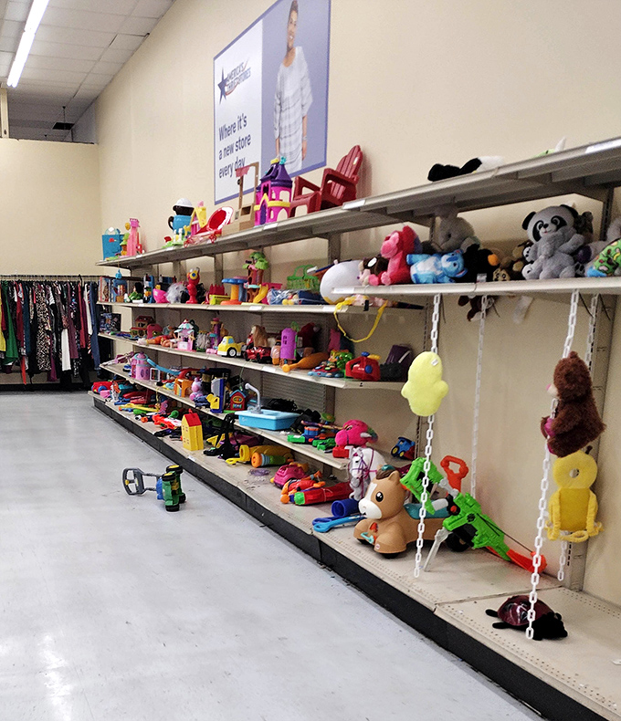The toy section is childhood joy incarnate&mdash;slightly loved stuffed animals and plastic wonders waiting for second chances at playtime glory.