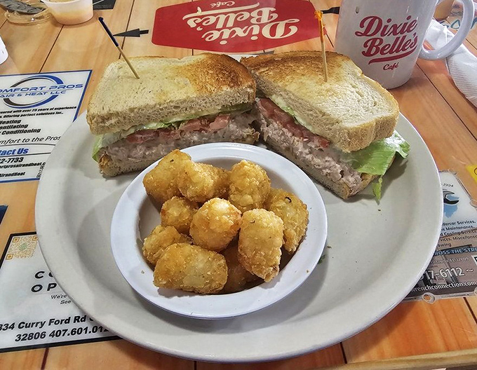 A sandwich that doesn't need to show off, paired with golden tater tots that crunch like autumn leaves.