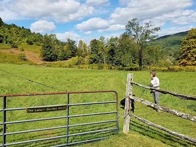 Rural gates and rolling hills: where you suddenly understand why people write country songs about coming home.