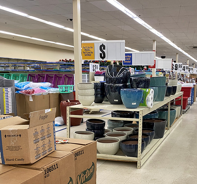 Garden pottery paradise! These glazed beauties are just waiting to cradle your houseplants in style without wilting your wallet.