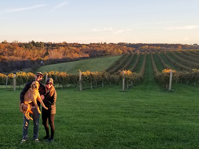 The rolling hills of Vernon Vineyards capture the Driftless Region's unexpected beauty, where visitors and four-legged friends discover Wisconsin's emerging wine country.