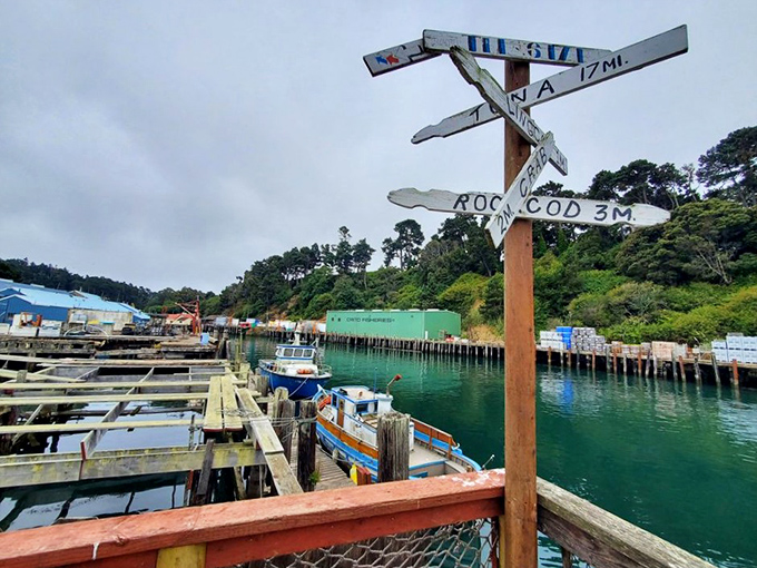 The working harbor view reminds you this seafood is about as fresh as it gets without catching it yourself.