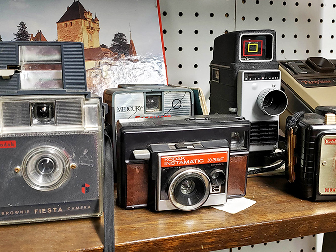 A timeline of photography sits on wooden shelves &ndash; from Brownies to Instamatics, each camera once captured someone's precious memories.