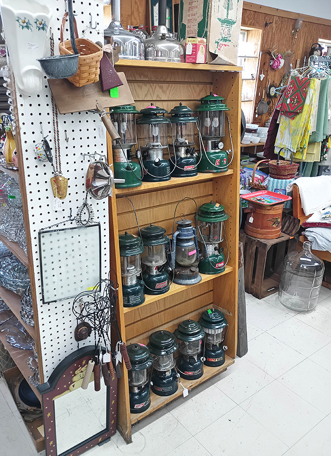 An army of Coleman lanterns stands ready to illuminate camping trips that exist only in memory &ndash; green soldiers of adventure from simpler times.