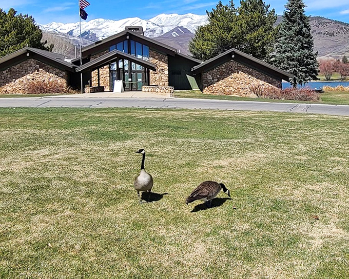 The visitor center welcomes guests with mountain views and resident geese who serve as the park's unofficial greeters.