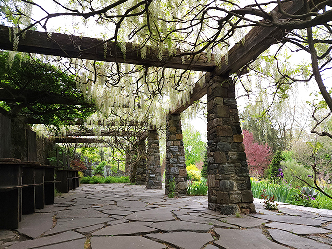 Stone pillars support a pergola draped with wisteria, creating a natural cathedral where even non-religious visitors find themselves whispering.