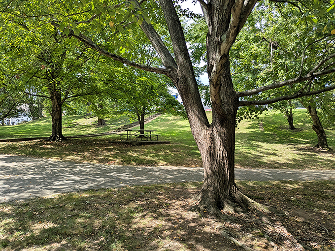 Walnut Park's shaded picnic spots offer the perfect excuse to unplug, unwind, and remember when "social network" meant actual people gathering together.