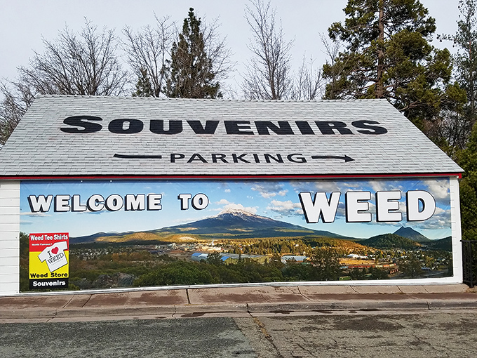The "Welcome to Weed" mural captures the town's sense of humor and spectacular setting. Yes, they've heard all the jokes, and they're still smiling.