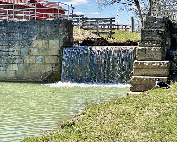 Water cascades over the canal lock with hypnotic simplicity. This isn't some fancy water feature&mdash;it's 19th-century technology still doing exactly what it was built for.