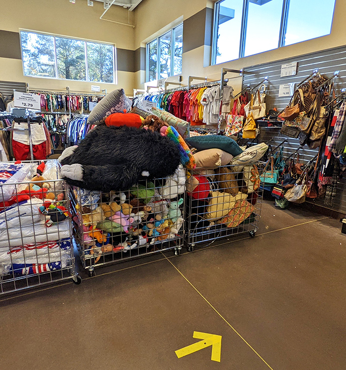 Stuffed animals and seasonal treasures overflow from organized bins. That fluffy animals might become someone's favorite childhood companion or dorm room conversation starter.