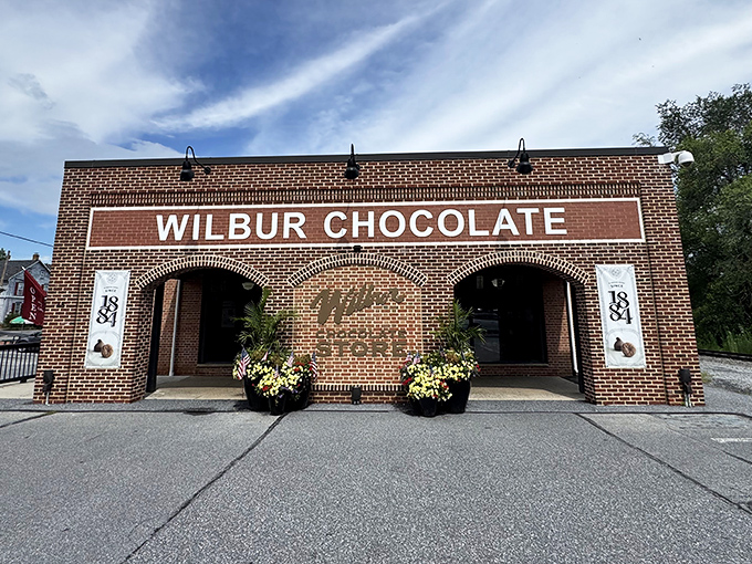 Wilbur Chocolate's storefront practically radiates sweetness, promising treasures that justify whatever diet you're currently abandoning.