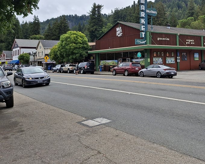 Downtown Boulder Creek nestled against forested hills. Where buildings are dwarfed by nature, exactly as they should be.