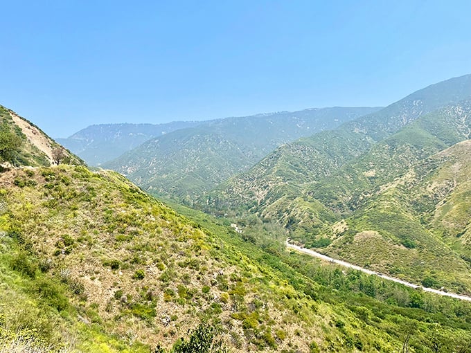 Nature's own serpentine sculpture, where the road seems to have been delicately placed by giants trying not to disturb the mountainside.