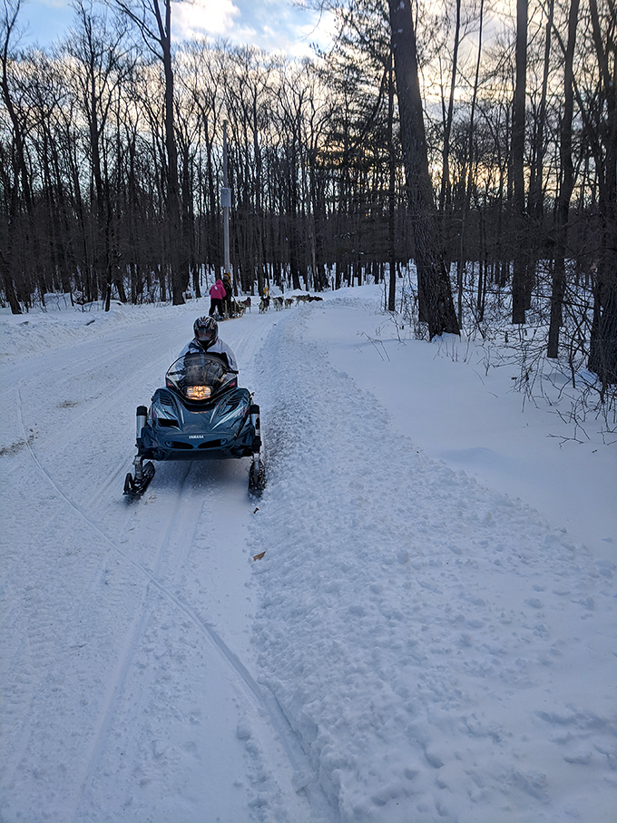 Winter adventurers carving fresh tracks through snow-covered trails&mdash;social distancing, Pennsylvania style.