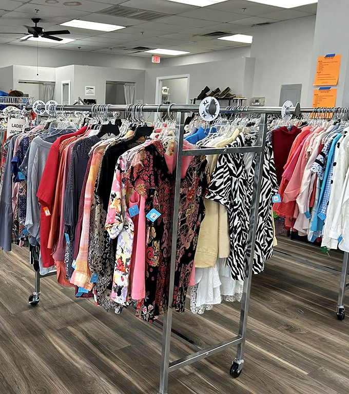 Fashion finds organized by color make thrifting feel like shopping a boutique. That floral blouse is practically screaming "Take me to brunch!"