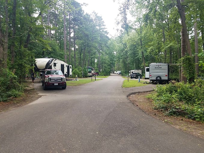 RV camping that strikes the perfect balance between "getting away from it all" and "bringing some of it with you."