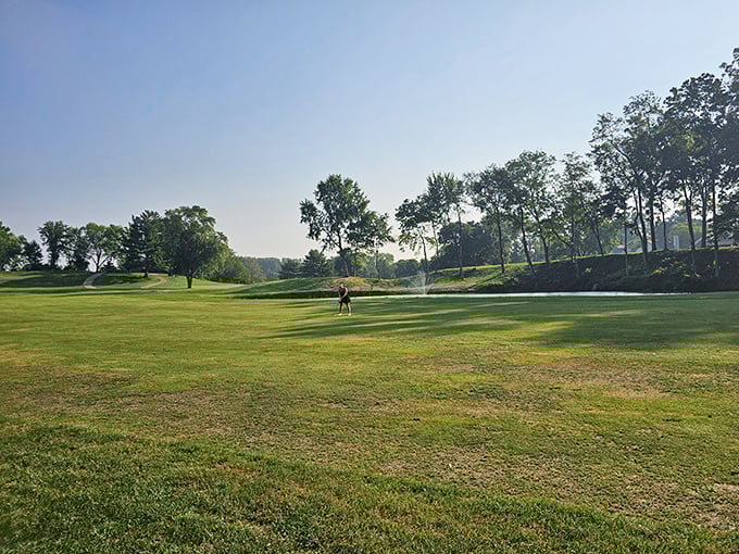 Golf courses this pristine make you understand why people wake up at dawn to play.