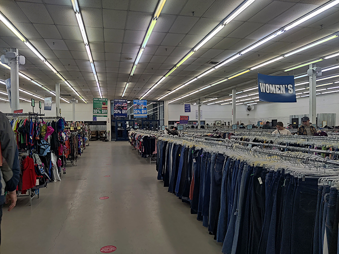 Looking down the well-organized aisles feels like gazing into retail infinity, a secondhand universe expanding with each new donation. 