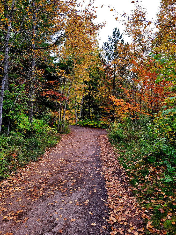 Autumn transforms Gooseberry's trails into nature's red carpet, where every step through fallen leaves sounds like gentle applause for your hiking efforts.
