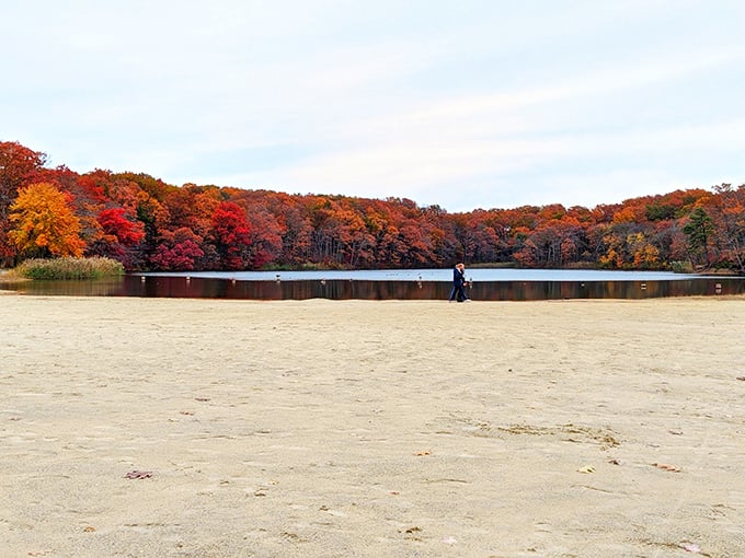 Fall paints the shoreline in fiery hues, creating a scene so perfectly autumn it practically smells like pumpkin spice and childhood memories.