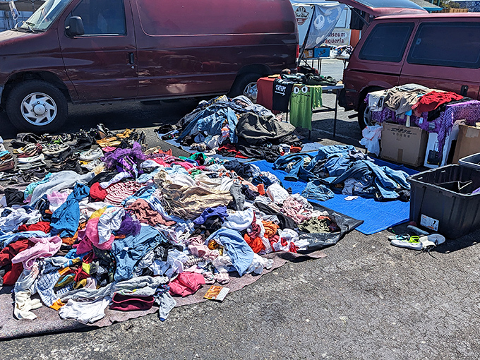 The clothing avalanche—where patience is rewarded with hidden gems buried beneath layers of forgotten fashion statements.