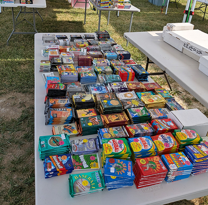 Literary treasures for young minds! Children's books spread out like a colorful carpet of adventures waiting to be discovered by the next generation. 