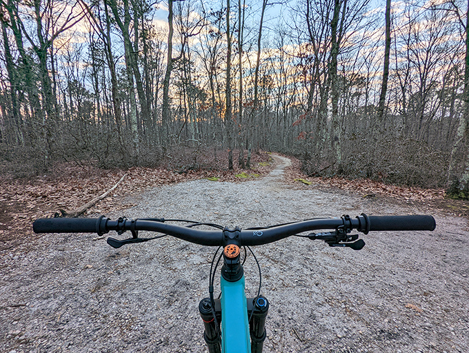 Mountain biking trails beckon the adventure-seeker. That handlebar view promises both serenity and the occasional tree-dodging adrenaline rush.