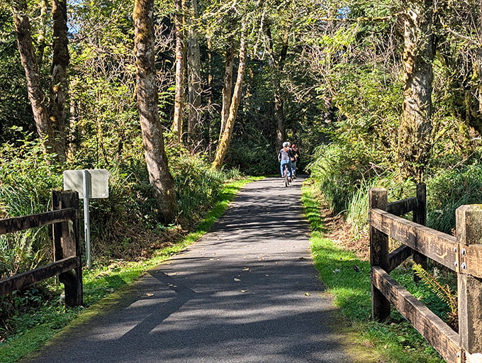 Cycling through sun-dappled forest trails &ndash; nature's version of a spa day where the treatment includes fresh air, birdsong, and the occasional wildlife sighting. 