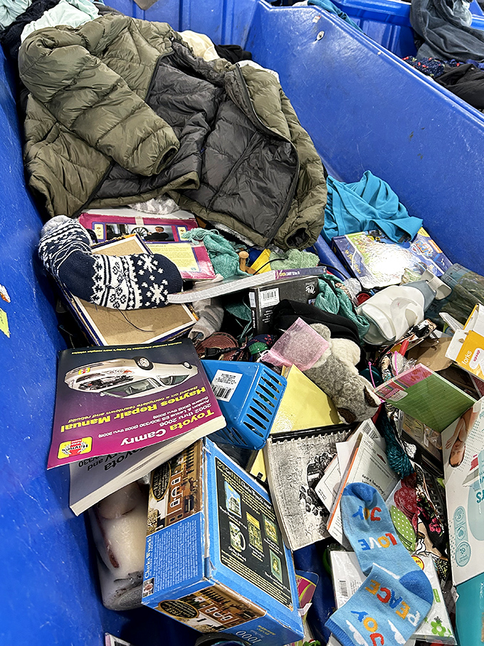 Books, winter coats, and forgotten hobbies coexist in perfect disorder. The archaeological layers of American consumption tell stories of passing interests and changing seasons.