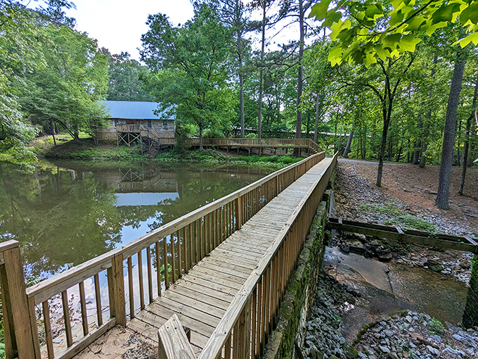 The boardwalk invites exploration along tranquil waters, proving that the best attractions sometimes come without flashing lights or admission fees.