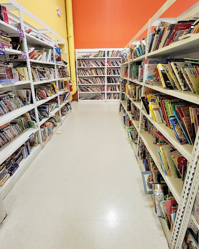 The book section rivals small-town libraries with its well-organized literary bounty. Paperback adventures and hardcover wisdom await for just a dollar or two.