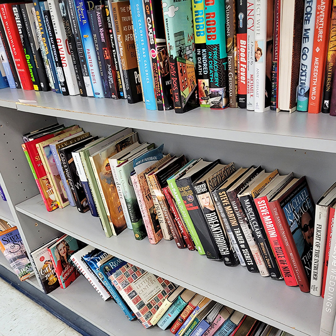 Literary treasures stacked spine-out, waiting for curious minds. From bestsellers to obscure gems, it's a library without late fees.