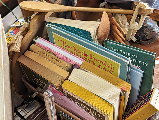 Childhood classics stacked like literary time capsules. These vintage children's books hold stories, illustrations, and possibly someone's forgotten bookmark from 1962.