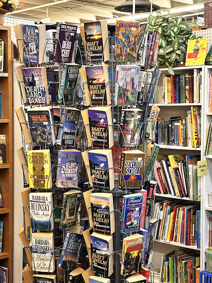 The bookworm's corner offers literary treasures organized with care&mdash;from bestselling thrillers to forgotten classics, each spine promising an escape to another world.