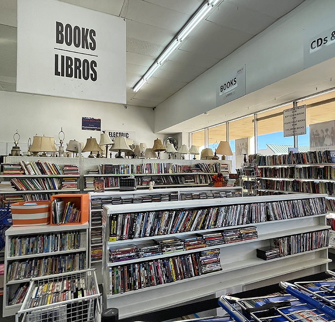 Literary treasures await between well-loved covers. The book section offers everything from beach reads to forgotten classics for less than a streaming subscription.