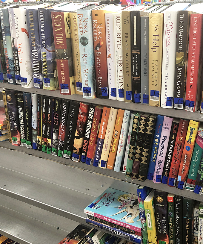 Literary treasures stacked spine-out. For the price of one new hardcover, you could take home an entire bookshelf of previously-loved stories.