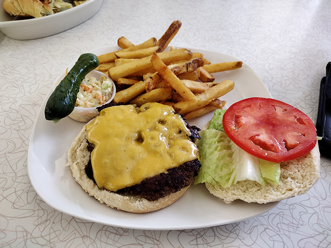 The cheeseburger arrives like a beautiful edible monument to American ingenuity, with fries standing guard around it.