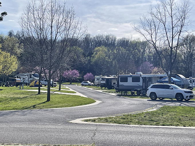 Camping at Bennett Spring means waking up to birdsong instead of alarm clocks and trading traffic noise for the gentle rhythm of flowing water.