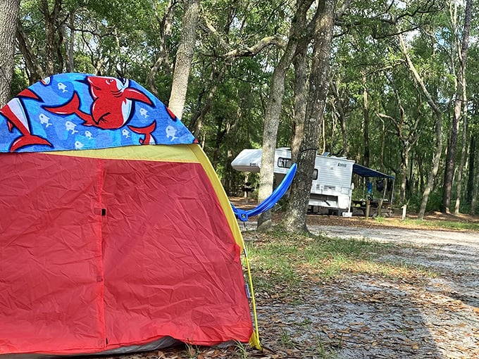 Camping Florida-style means hammocks between pines and springs just steps away. That fish-patterned tent has the right idea.