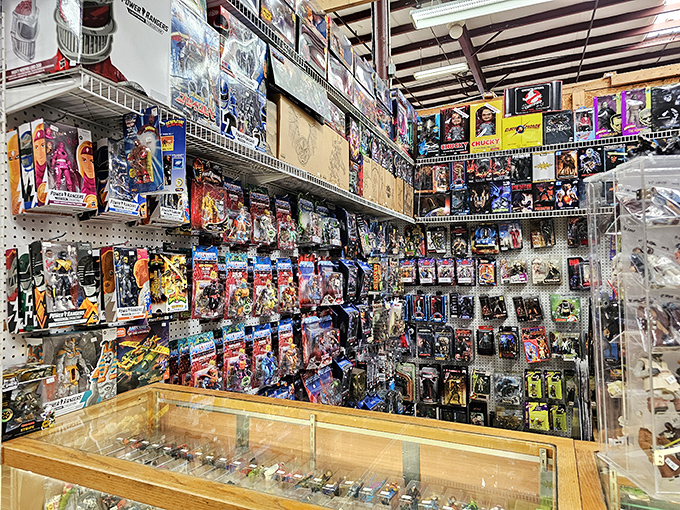 Action figure nirvana! Where childhood heroes stand frozen in plastic, waiting for collectors to rescue them from their blister pack prisons.