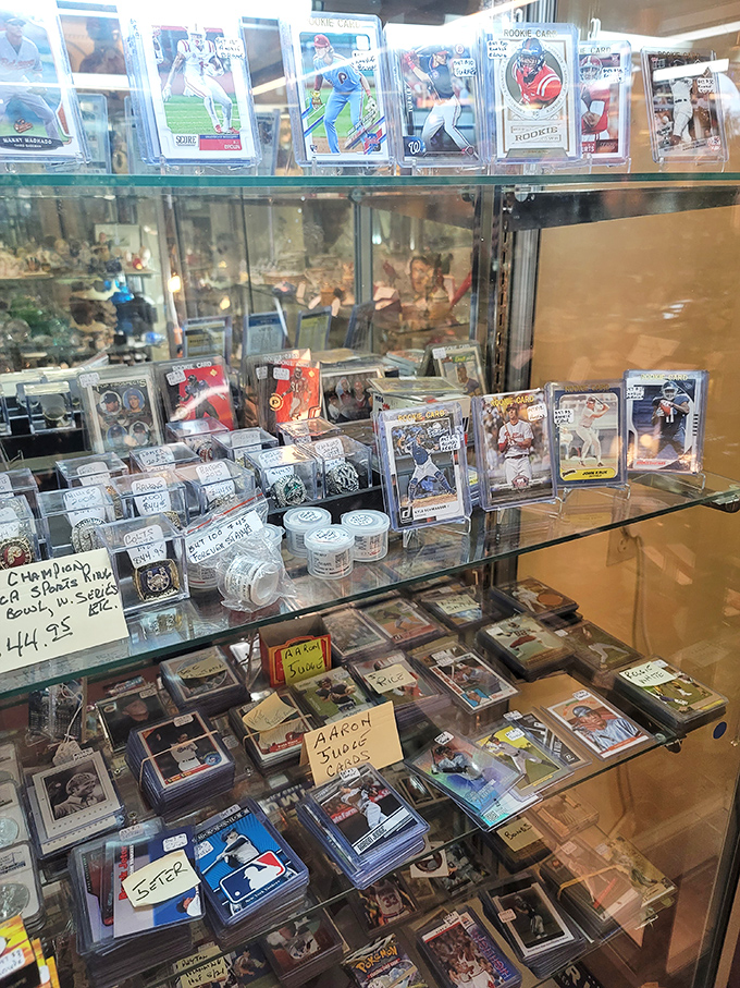 Baseball cards and memorabilia that capture America's pastime in plastic sleeves. That rookie card might just fund your retirement.