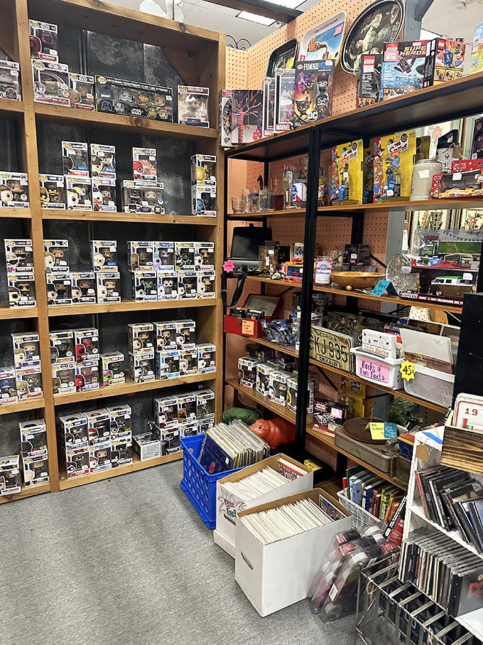 Pop culture collectibles proving yesterday's impulse purchases become tomorrow's investments. From Funko to vinyl, nostalgia comes neatly packaged.